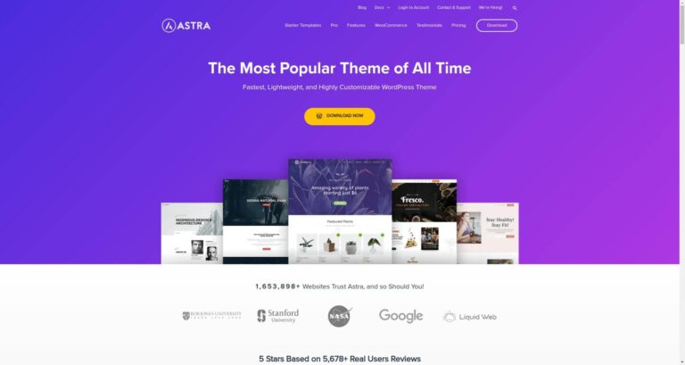 Astra Theme - Plugins